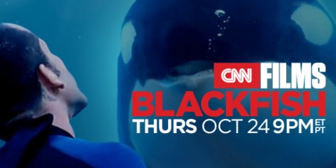 CNN's "BLACKFISH" is a Ratings Win; Is This a Brave New Venue for ...