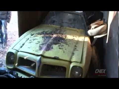 Ken Carter (stuntman) ~ Complete Biography with [ Photos | Videos ]